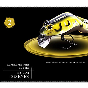 LOVEPET Bionic Fishing Bait,Ray Frog Fake Bait, Lures Bait,Fat Frog, Fishing Tackle,6 Pcs