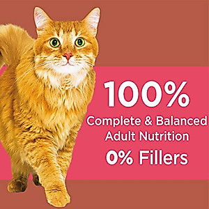 IAMS PROACTIVE HEALTH High Protein Adult Dry Cat Food with Chicken & Salmon Cat Kibble, 6 lb. Bag