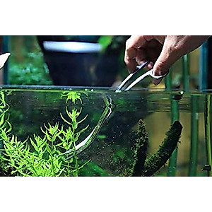 9.8” Wave Scissors Stainless Steel with Chrome Finish Perfect for Aquarium Tank| Aquarium Plant Tool