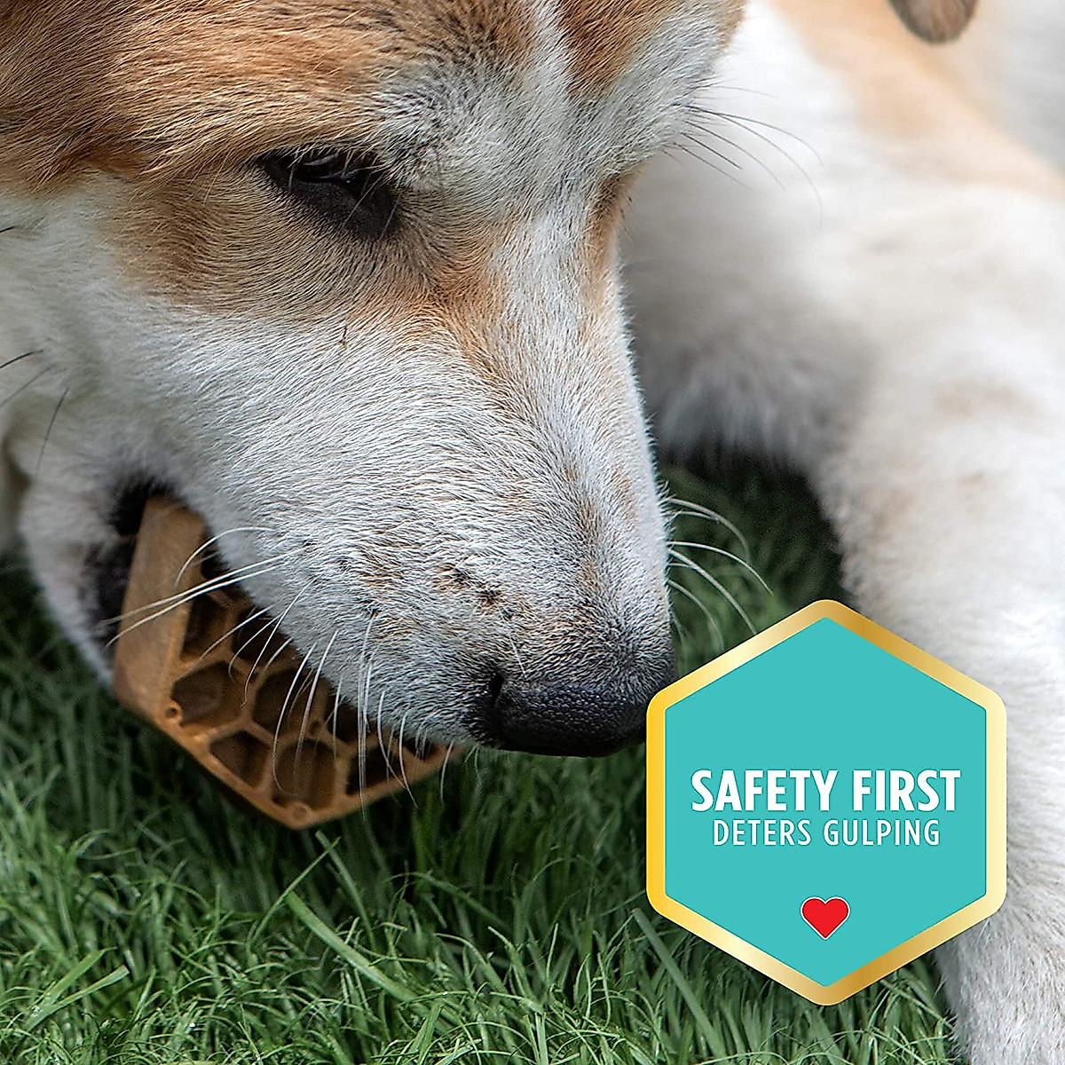 Yummy Combs Dog Dental Treat - Extra Small - Protein Formula - 12oz Carton