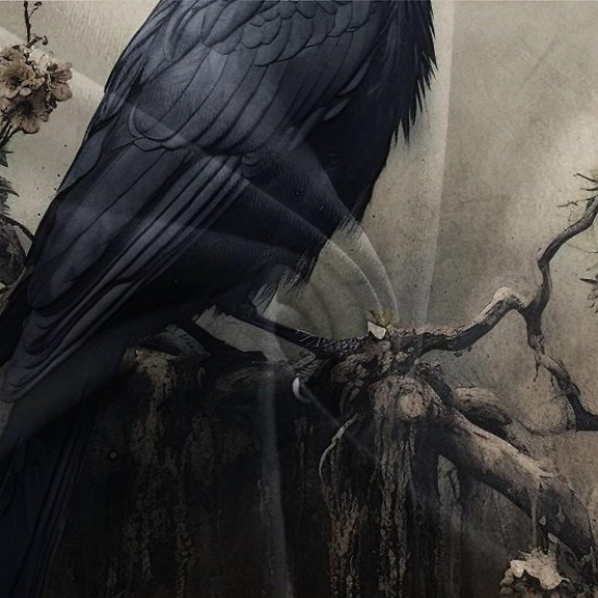 BUKISA 3D Printed Raven Comforter Cover Set for Kids Child Girls Boys Bedroom Textile Suit Skin-Friendly Crows Bedding Set Breathable Twin（173x218cm） Duvet Quilt with Pillowcases