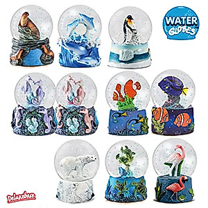 Waterglobe Seahorses from Deluxebase. Seahorse Snow Globe with Resin Figurine and Moulded Base. Great Home Globe Decor,Ornaments and Gifts.
