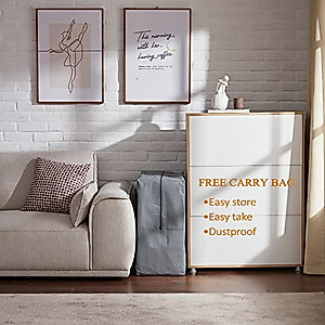 SINWEEK 25 x 75In Folding Mattress with Storage Bag 3" Foldable Mattress Foam Topper Floor Cot Mattress, Guset Bed with Machine Washable Cover and Waterproof Lining, CertiPUR-US Certified Queen