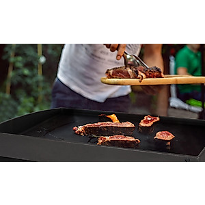 Flat Top Griddle for 22-inches Blackstone Table Top Griddle, Cast Iron