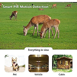 SOLIOM 3G/4G LTE Cellular Solar Security Cameras with SIM Card,Wireless Outdoor Battery Powered Camera Pan Tilt 355°View with 1080p Night Vision,No WiFi,Spotlight PIR Motion Sensor, S40