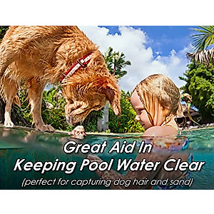 APLUSTE 30-Pack of Pool Skimmer Socks, Pool Filter Socks for Filters, Baskets, and Skimmers - The Ideal Sock/Net/Saver to Protect Your Inground or Above Ground Pool