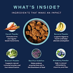 Good Trouble Pets Gland Support Soft Chew Dog Supplements: Anal Gland Wellness Formula & Digestive Health - Digestive Enzymes for Dogs (Packs of 3)