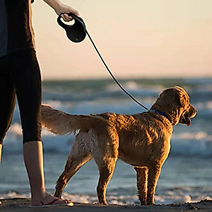 enrgticdg 16Ft Retractable Dog Leash,Light Weight Leash for Small to Medium Dogs/Cats Up to 50lbs,Strong Nylon Tape, Tangle Free, One-Handed Brake,Simple, Practical and Comfortable.