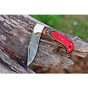 Handmade Damascus Steel Pocket Knife & Knife Sharpener - Damascus Folding Knife - Pocket Knife for Men, EDC Knife & Hunting Knife with Back Lock & Beautiful Pakka Wood Handle with Leather Knife Sheath