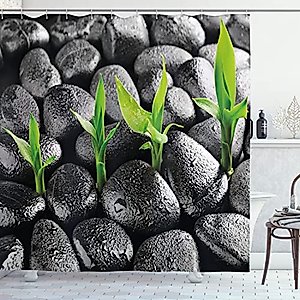 Ambesonne Plant Shower Curtain, Basalt Stones with Bamboo Leaves Sticking Water Droplets Harmony of Nature, Cloth Fabric Bathroom Decor Set with Hooks, 69" W x 70" L, Dark Taupe Lime Green