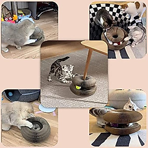 2pcs Magic Organ Cat Scratching Board with 4 Cat Ball Toys Foldable Cat Cordain Scratcher for Grinding Claw, Durable Interactive Cat Scratching Cardboard for Indoor Cats