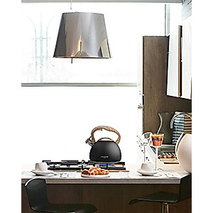 POLIVIAR Tea Kettle, Black Ti Stovetop Tea Kettle 2.7 Quart , Audible Whistling Teapot, Food Grade Stainless Steel for Anti-Rust and Anti Hot Handle, Suitable for All Heat Sources (JX2018-WB20)