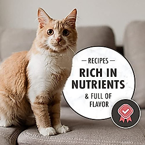NUTRO WHOLESOME ESSENTIALS Natural Dry Cat Food, Adult Cat Salmon & Brown Rice Recipe Cat Kibble, 5 lb. Bag