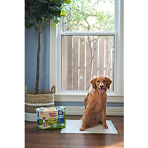 Four Paws Wee-Wee Superior Performance Eco Pee Pads for Dogs - Earth-Friendly Dog & Puppy Pads for Potty Training - Dog Housebreaking & Puppy Supplies - 22" x 23" (50 Count),White