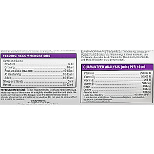 Probiotic Plus Paste 80 cc Tube