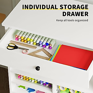 Pipleo Rolling Craft Cart for Cricut Machines, Craft Organizer and Storage Table with Vinyl Roll Holder, Built-in Outlet and Drawer, Crafting Cabinet Workstation Tools Holder for Craft Room