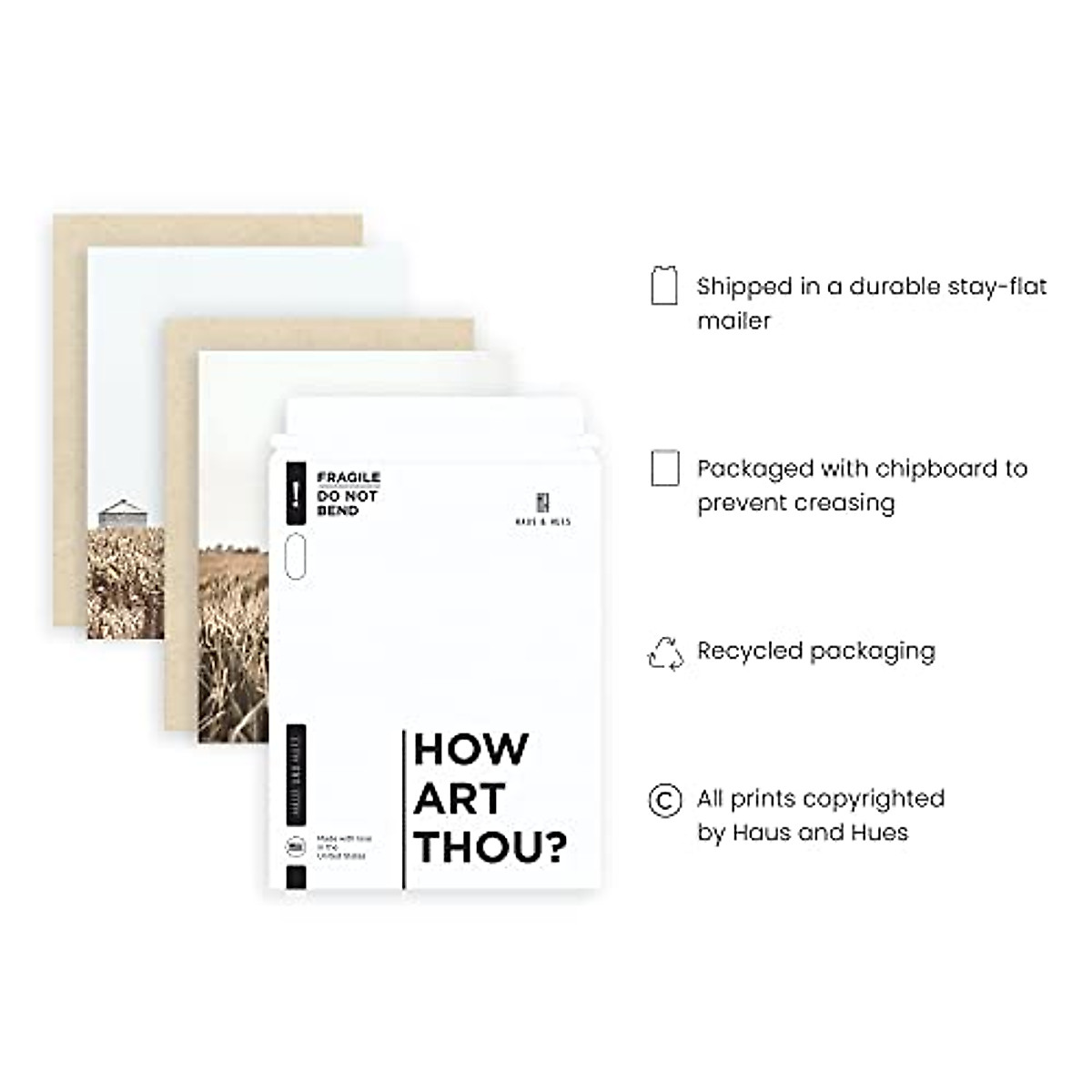 HAUS AND HUES Highland Cow Art and Farmhouse Wall Decor Cow Wall Art and Farmhouse Pictures | Cow Decor | Cow Prints Wall Art | Cow Pictures Wall Décor