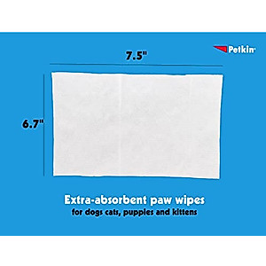 Petkin Paw Wipes Plus, 200 Orange Scented Wipes, 2 Pack - Absorbent Pet Paw Wipes Remove Daily Dirt & Odors - Enriched with Paw Balm Protectant -Easy to Use Pet Wipes for Dogs, Cats, Puppies & Kittens