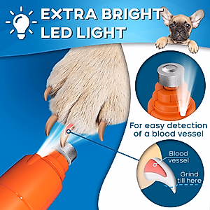 Dog Nail Grinder with LED Light, Rechargeable Dog Nail Grinder for Large Dogs, Medium & Small Dogs, Professional Pet Nail Grinder for Dogs Quiet Soft Puppy Grooming, Cat Nail Grinder, Dog Nail Trimmer