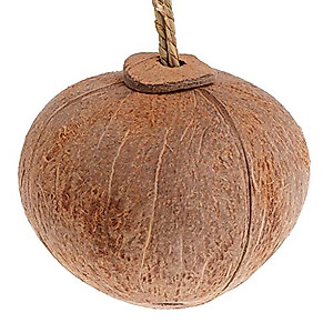 Bird Feeder Natural Coconut Shell Bird Nest with Hanging Lanyard, Birdhouse Hut Cage Feeder Toy for Pet Parrot