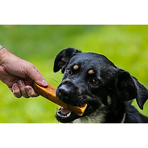 Top Dog Chews – Medium Himalayan Yak Cheese for Dogs, 100% Natural & Long-Lasting Dog Treats, Gluten Free & Digestible Cheese Sticks, Sold by The Pound (1LB, ~5 Dog Chews)