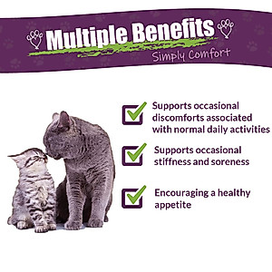 Amber NaturalZ Catizol Simply Comfort Herbal Supplement for Cats | Feline Support for Occasional Discomforts and Normal Body Temperature | 4 Fluid Ounce Glass Bottle | Manufactured in The USA