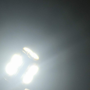 Ruiandsion Upgrade LED Flashlight Bulb 6-40 Volt P13.5S Base LED Bulb White 6V 9V 12V 18V 19.2V 24V Replacement for Flashlight Torch Lantern Work Lights,Non-Polarity