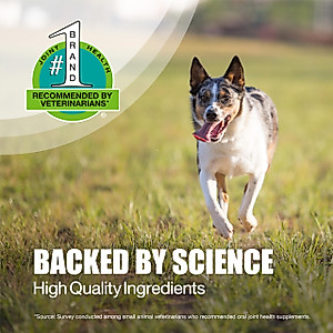 Nutramax Dasuquin with MSM Joint Health Supplement for Small to Medium Dogs - With Glucosamine, MSM, Chondroitin, ASU, Boswellia Serrata Extract, and Green Tea Extract, 84 Chewable Tablets(Pack of 1)