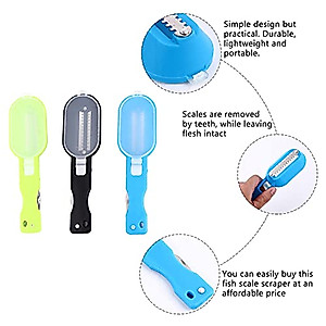 Cabilock Tile Tools 3pcs Fish Scaler Sawtooth Scarper Stainless Steel Fish Scales Cleaning Brush Fish Scales Skin Removing Peeling Gadget Seafood Processing Kitchen Tool (Random Color)