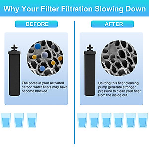 Gunneran Black Primer for Berkey Black Carbon Filter, Prime and Purge 2 in 1 Primer Pump Kit, Fits for Berkey BB-9 Black Filtration Element