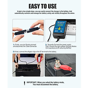 Heagstat Battery Charger, 12V 2-Amp Fully-Automatic Smart Trickle Charger and Maintainer for Car Motorcycle Lawn Mower Boat ATV Lead-Acid and Lithium(LiFePO4) More