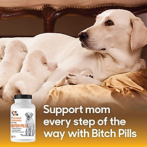 Bitch Pills - Pregnant Dog Prenatal Vitamins - 45 Tablets