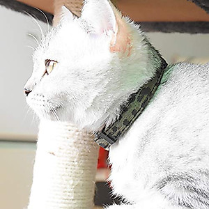 Breakaway Cat Collars with Bell, Set of 3, Durable & Safe Cute Kitten Collars Safety Adjustable Kitty Collar for Cat Puppy 7.5-11in (Leopard)