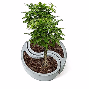 Concrete Flower Pot Molds Succulent Planter Silicone Molds Tai Chi Symbol Clay Cement Bonsai Moulds with Drainage Hole