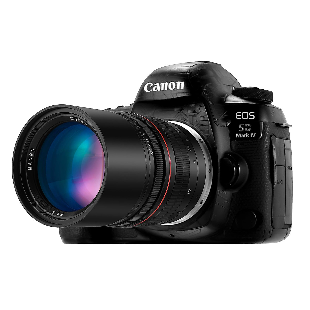 JINTU 135mm f/2.8 Telephoto Lens Manual SLR Camera Lenses for Canon EOS T7i T7s T7 T6s T6i T6 T5i T5 SL2 SL1 4000D 2000D 5D IV 90D 60D 70D 77D 80D 850D 650D 750D 550D 450D 7D