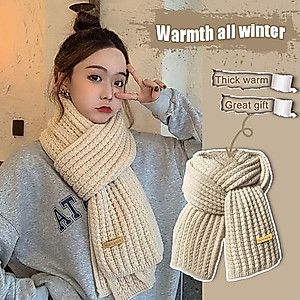 Boaisdus Winter Chunky Knitted Scarf Women's & Men Soft Long Knit Scarves Cold Weather and Wraps Warm Knit Scarfs Women for Outddor(Beige-69 L x 10" W)