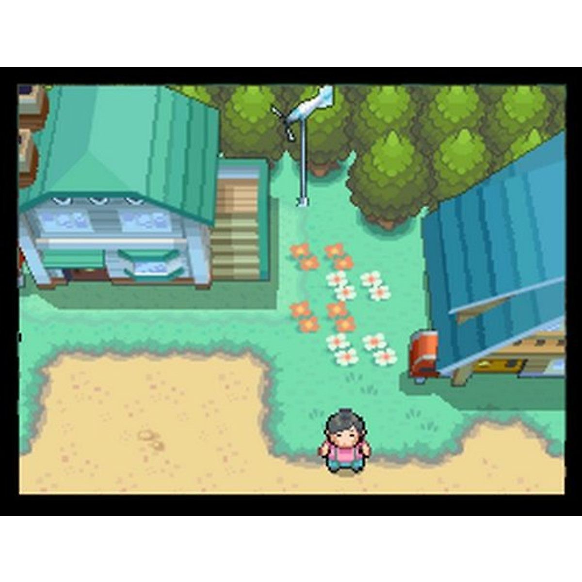 Pokemon SoulSilver Version