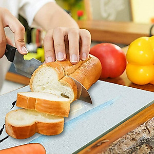 Tempered Glass Cutting Board Heron Bird Watercolor and Sunset Tableware Kitchen Decorative Cutting Board with Non-slip Legs, Serving Board, Large Size, 15" x 11"