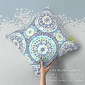 LVTXIII Outdoor Throw Pillow Covers 18 x 18 Inch, Covers ONLY Modern Paisley Pattern Decorative Square Toss Pillow Case Pack of 2 for Home Patio Garden Sofa Bed Furniture, Delancey Lagoon
