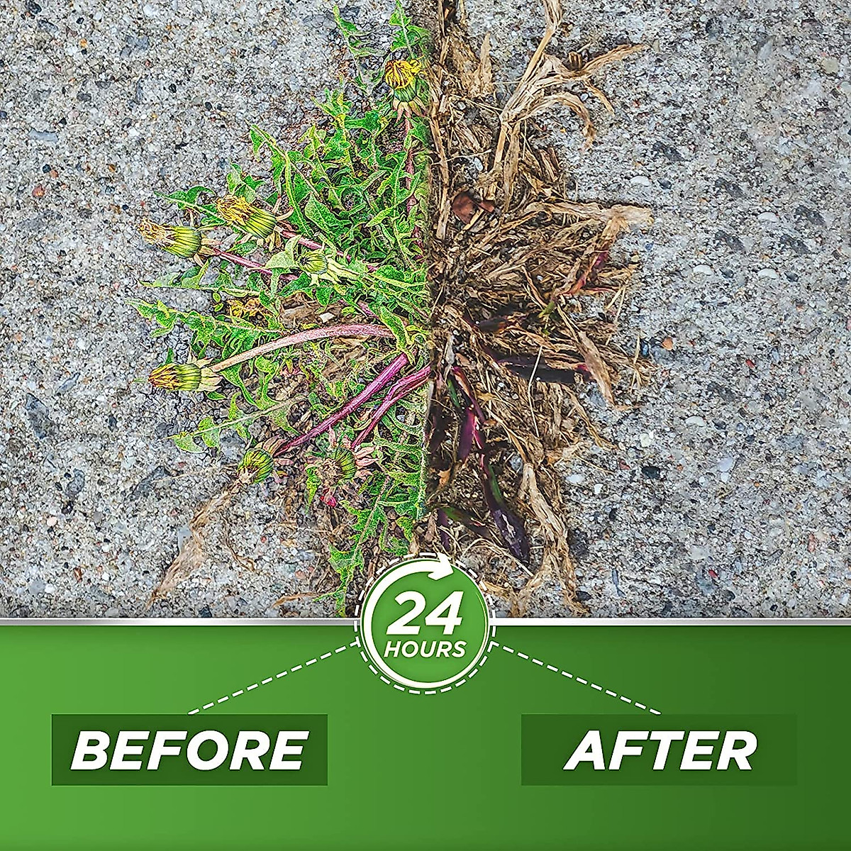 Green Gobbler 20% Vinegar Weed & Grass Killer | Natural and Organic | Concentrated | 32 fl. oz. Spray | Glyphosate Free Herbicide