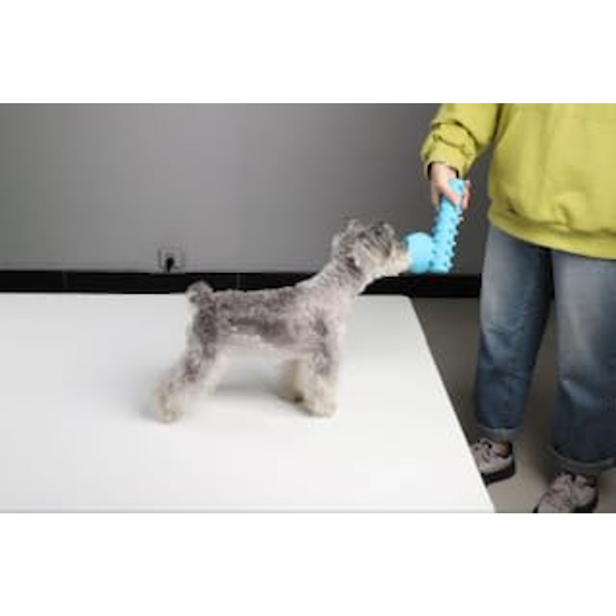 iPetz Dog ChewPod (Large/ExtraLarge)