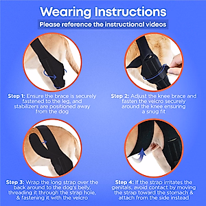 petbloom Dog Knee Brace for Torn ACL, Hip Dysplasia, Arthritis Pain Relief, Osteoarthritis, and Ligament Injuries, Adjustable Neoprene Support for Front or Hind Leg, Black (Large)