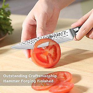 PAUDIN Utility Knife Kitchen, Sharp Chef Knife 5 Inch Small, Paring Knife, High Carbon Stainless Steel Kitchen Utility Knife with ABS Handle, Small Kitchen Knife for Home and Restaurant