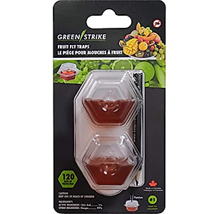 GREENSTRIKE 2-PACK Premium Fruit Fly Traps For Indoors | 2 Pre-Filled Lures Effectively Trap Flies Indoors | Easy Effective and Safe to Use | Food-Based Lure/Bait Catcher | Red