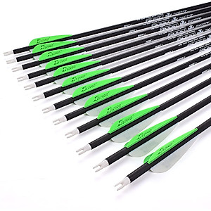 Archery Bow Carbon Arrow Hunting Target Practice Arrows 26 Inch with Removable Tips for Compound & Recurve Bow Spine 500 12PCS Pack