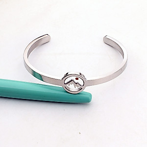 Matthew 17:20 Christian Gift Mustard Seed Jewelry Faith Can Move Mountains Bracelet (silver cuff)