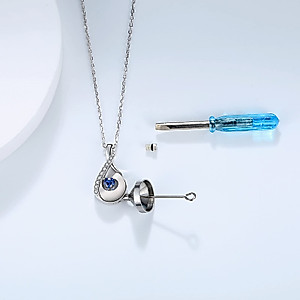 YLT Teardrop Urn Pendant Water Droplet Necklace for Ashes 925 Sterling Silver Memorial Keepsake Cremation Ashes Infinity Jewelry for Women