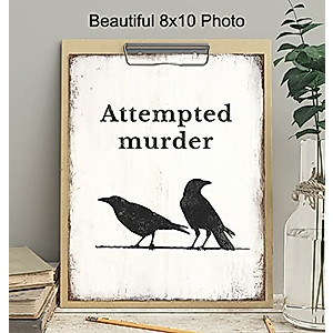 Crow Raven Wall Art & Decor - Unique Gift for Ornithology, Attempted Murder Mystery, True Crime, Bird Watching, Birdwatching, Writer, Author, Ornithologist, Men, Women - Funny Sayings Poster