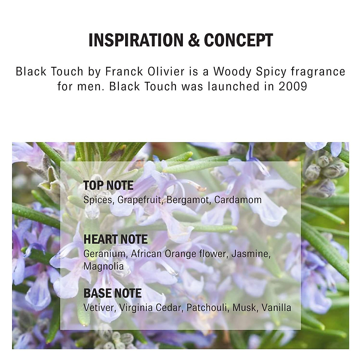 Frank Olivier Black Touch for Men Eau De Toilette Spray, 3.3 Ounce