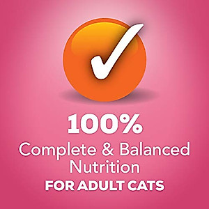 Purina Friskies Wet Cat Food Variety Pack, Surfin' & Turfin' Prime Filets Favorites - (40) 5.5 oz. Cans